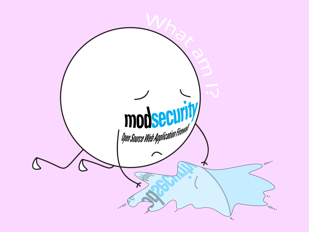 What The Heck Is ModSec? | Broadcast | Crucial